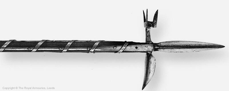 Lucerne Hammers